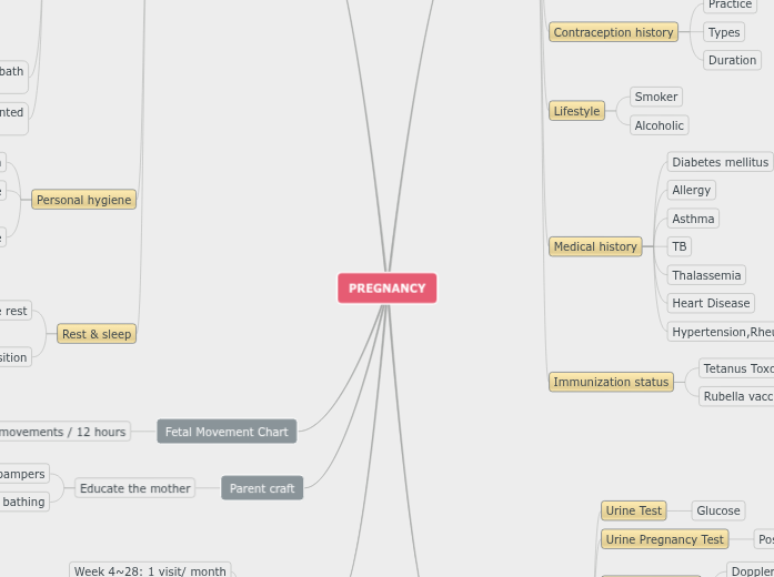 PREGNANCY - Mind Map